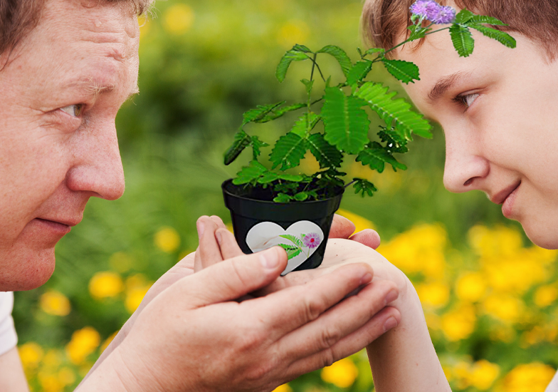ZOMBIE PLANT GROW KIT- (Touch It and It PLAYS DEAD!) – TickleMe Plant ...
